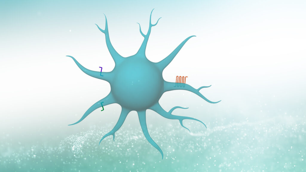 Microglia Markers | Alomone Labs
