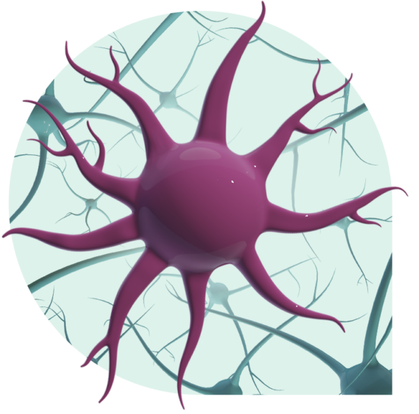 Microglia Markers | Alomone Labs