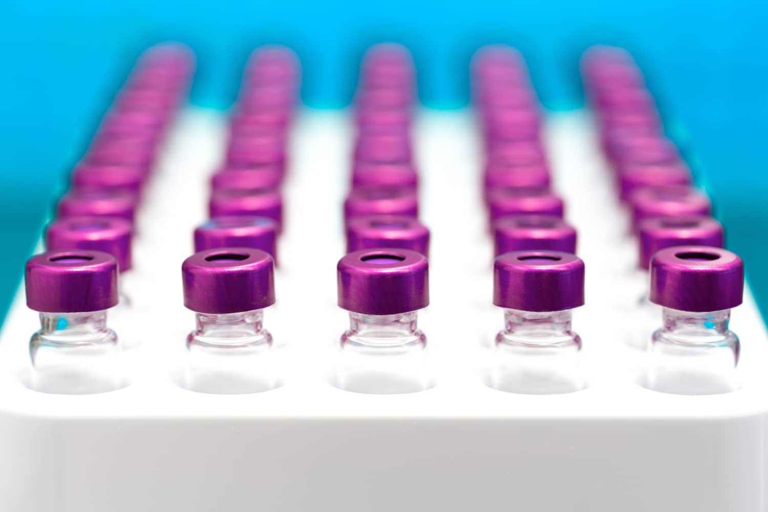 Custom Service | Alomone Labs