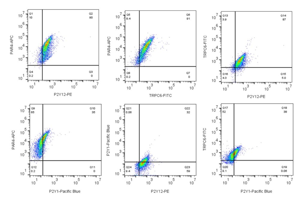 Custom Service | Alomone Labs