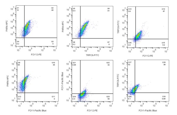 Custom Service | Alomone Labs