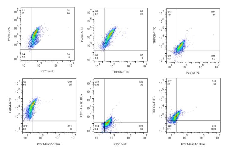 Custom Service | Alomone Labs