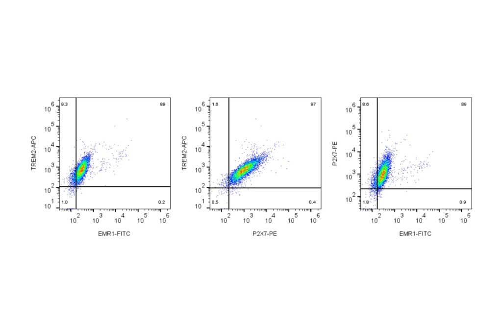 Flow Cytometry Frontiers: Alomone Labs' Antibodies in Action | Alomone Labs