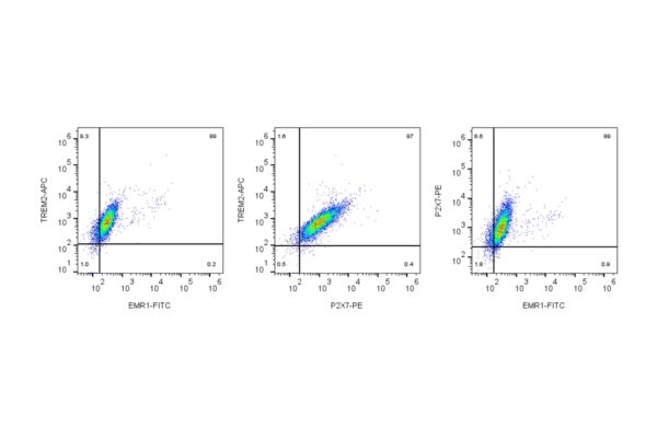 Flow Cytometry Frontiers: Alomone Labs' Antibodies in Action | Alomone Labs