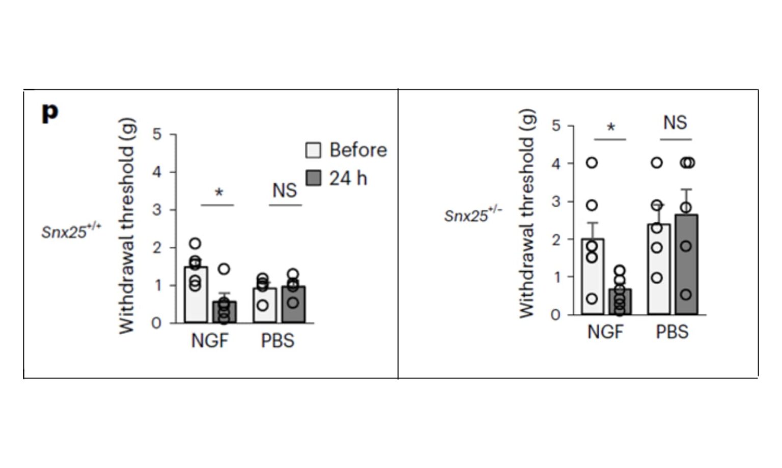 Pain Sensitivity, NGF and How Dermal Macrophages Pull the Strings ...